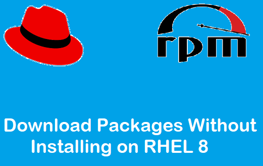 How To Download RPM Packages Without Installing On RHEL 8